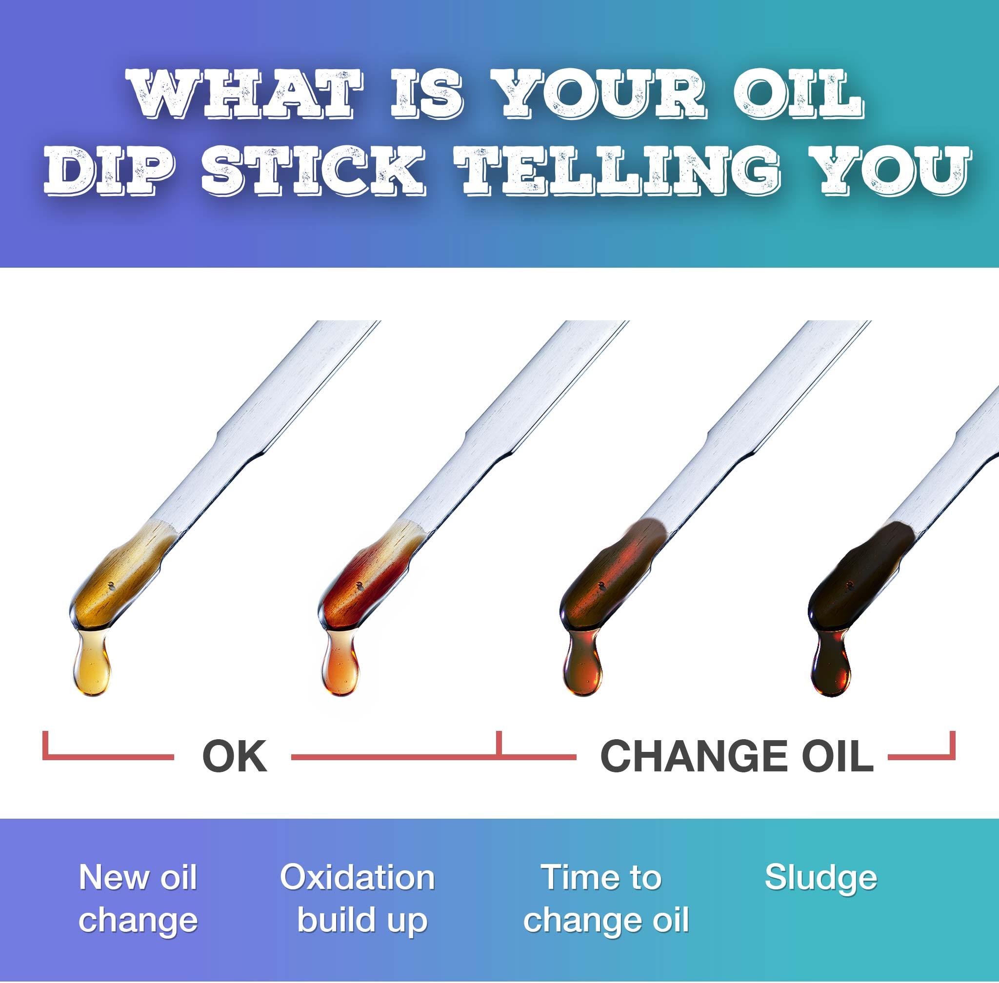 A Step by step Guide To Changing Your Car s Motor Oil TopRatedAnything